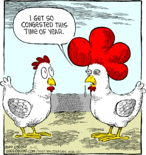 Weekend funny humor chickens stress: The sun is coming again … | NZ